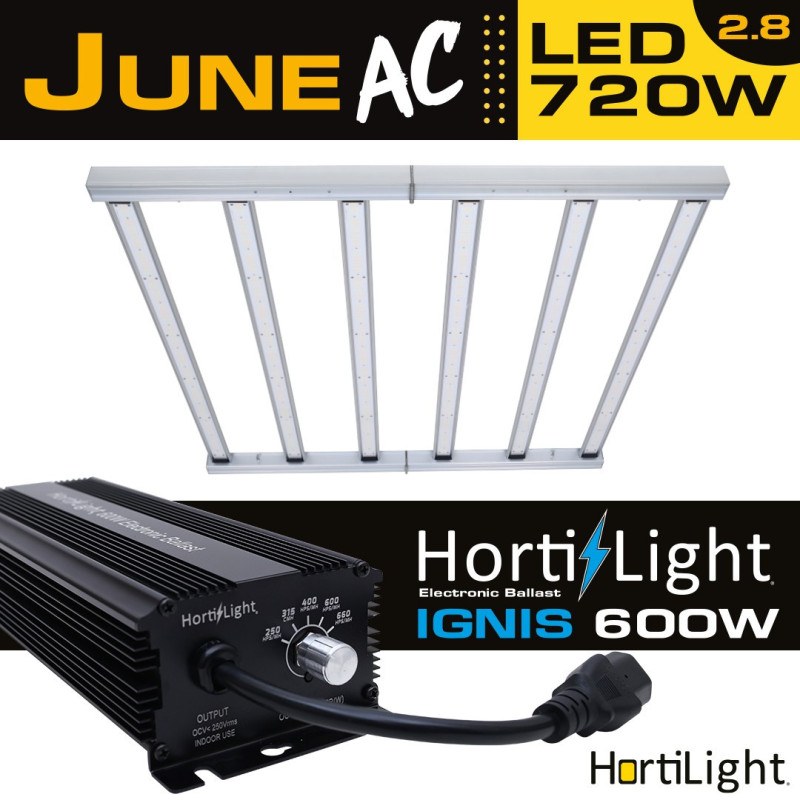 LED 720W June AC Six Bar HORTILIGHT